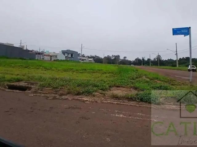 Terreno / Lote para Venda em Cascavel/PR Morumbi