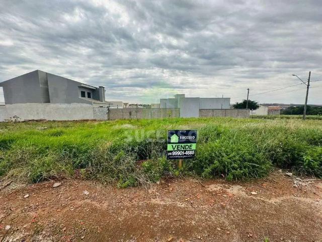 Terreno / Lote para Venda em Cascavel/PR Morumbi