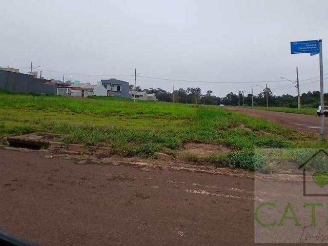 Terreno / Lote para Venda em Cascavel/PR Morumbi