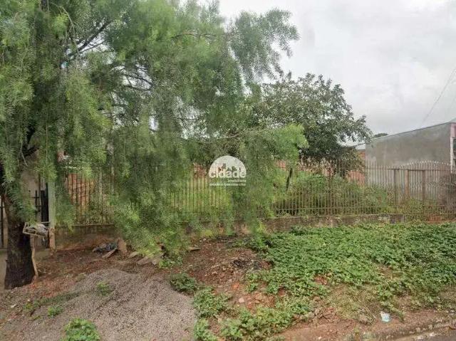 Terreno / Lote para Venda em Cascavel/PR Morumbi