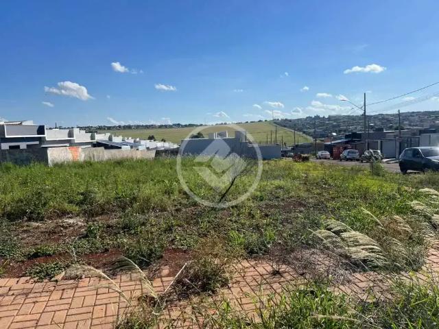 Terreno / Lote para Venda em Cascavel/PR Morumbi