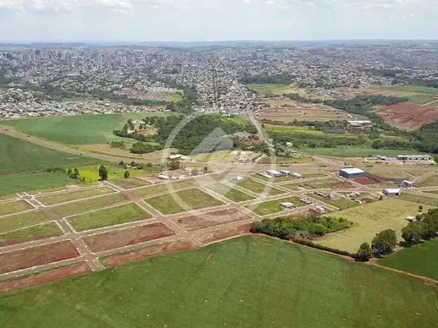 Terreno / Lote para Venda em Cascavel/PR Nucleo de Produção III