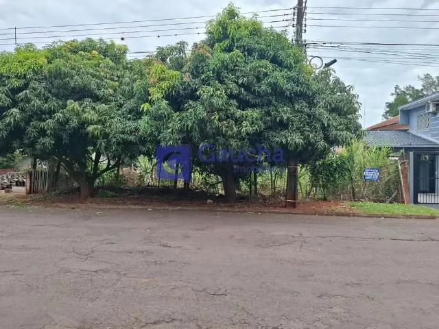 Terreno / Lote para Venda em Cascavel/PR Neva