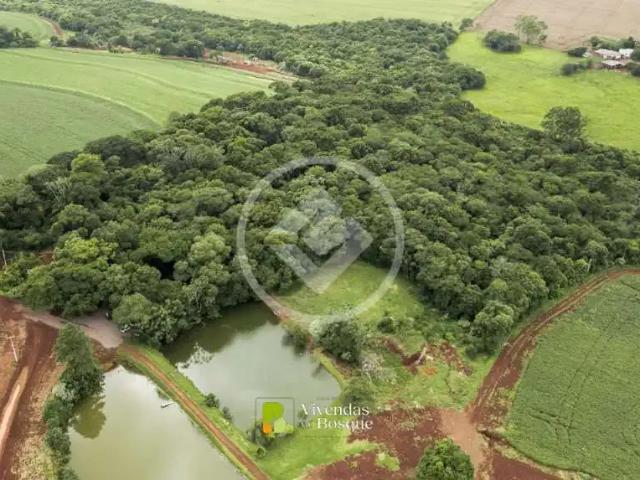 Terreno / Lote para Venda em Cascavel/PR Neva