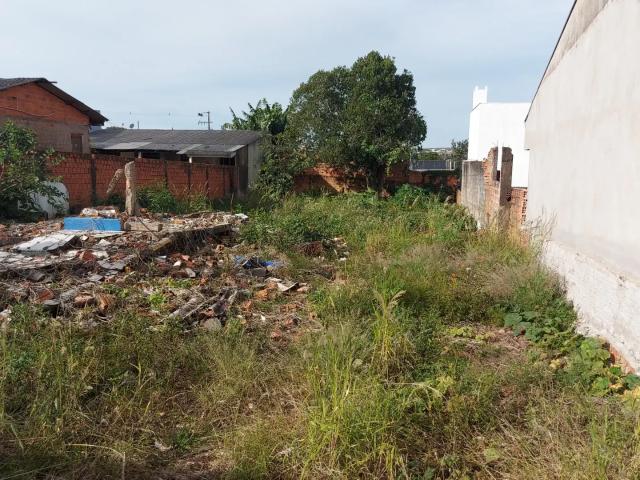 Terreno / Lote para Venda em Cascavel/PR Brasília