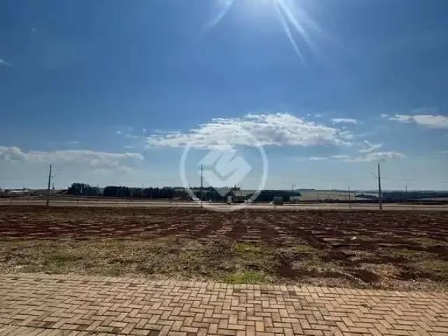 Terreno / Lote para Venda em Cascavel/PR Brazmadeira