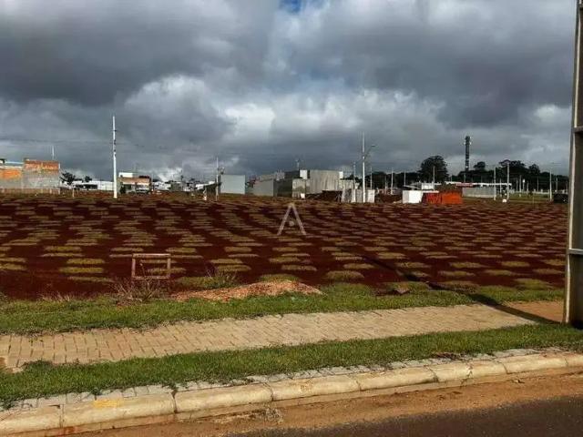 Terreno / Lote para Venda em Cascavel/PR Brazmadeira