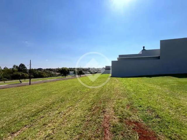 Terreno / Lote para Venda em Cascavel/PR Cascavel Velho