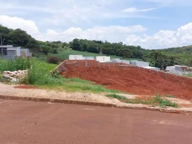 Terreno / Lote para Venda em Cascavel/PR Cascavel Velho