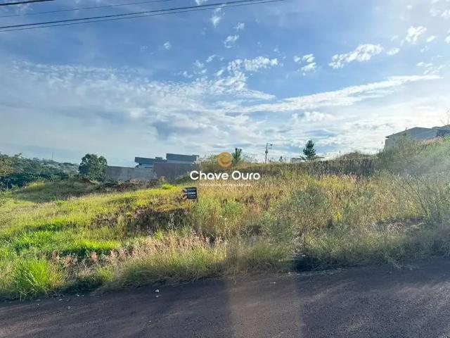 Terreno / Lote para Venda em Cascavel/PR Cascavel Velho