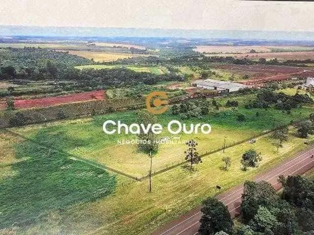 Terreno / Lote para Venda em Cascavel/PR Cascavel Velho