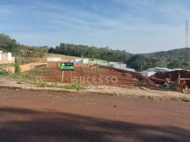 Terreno / Lote para Venda em Cascavel/PR Cascavel Velho