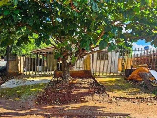 Terreno / Lote para Venda em Cascavel/PR Cataratas