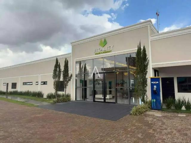 Terreno / Lote para Venda em Cascavel/PR Cataratas