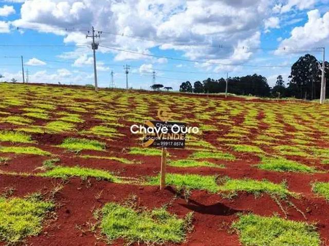 Terreno / Lote para Venda em Cascavel/PR Centro