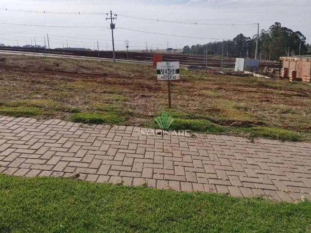 Terreno / Lote para Venda em Cascavel/PR Centro