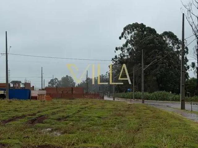 Terreno / Lote para Venda em Cascavel/PR Centro