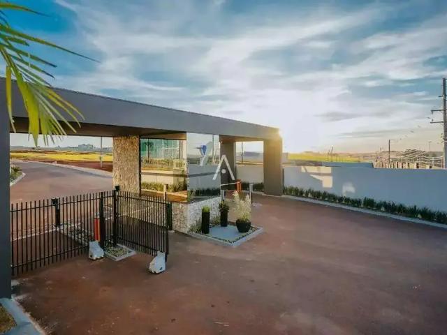 Terreno / Lote para Venda em Cascavel/PR Centro
