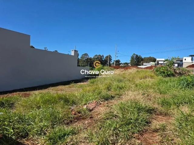Terreno / Lote para Venda em Cascavel/PR Centro