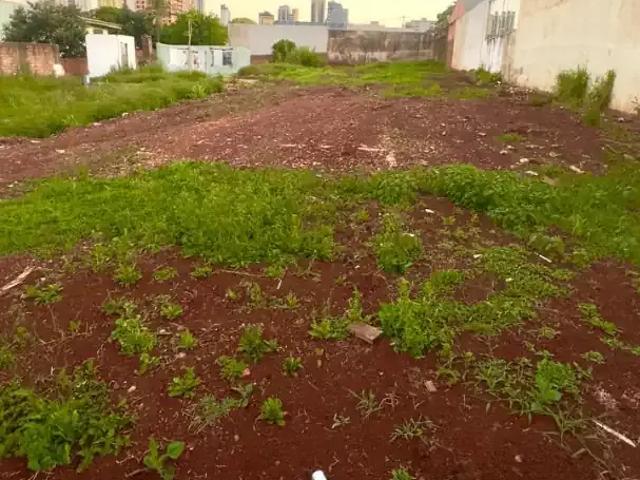 Terreno / Lote para Venda em Cascavel/PR Centro
