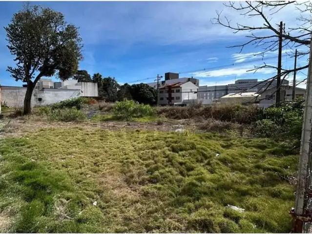 Terreno / Lote para Venda em Cascavel/PR Centro