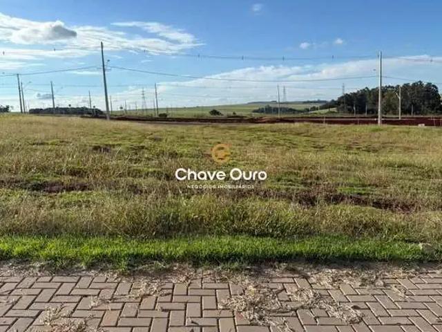 Terreno / Lote para Venda em Cascavel/PR Centro
