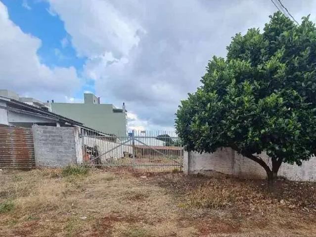 Terreno / Lote para Venda em Cascavel/PR Coqueiral