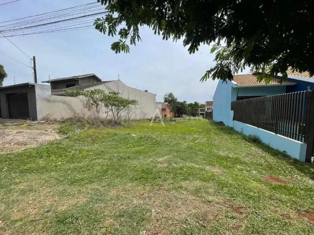 Terreno / Lote para Venda em Cascavel/PR Coqueiral