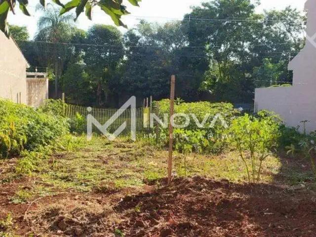 Terreno / Lote para Venda em Cascavel/PR Coqueiral