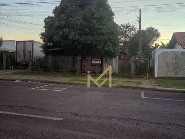 Terreno / Lote para Venda em Cascavel/PR Coqueiral