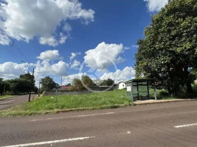 Terreno / Lote para Venda em Cascavel/PR Coqueiral