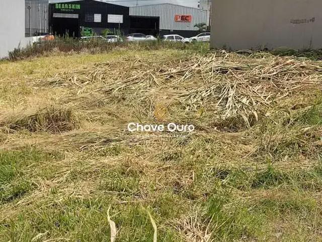 Terreno / Lote para Venda em Cascavel/PR FAG