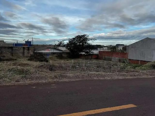 Terreno / Lote para Venda em Cascavel/PR Floresta