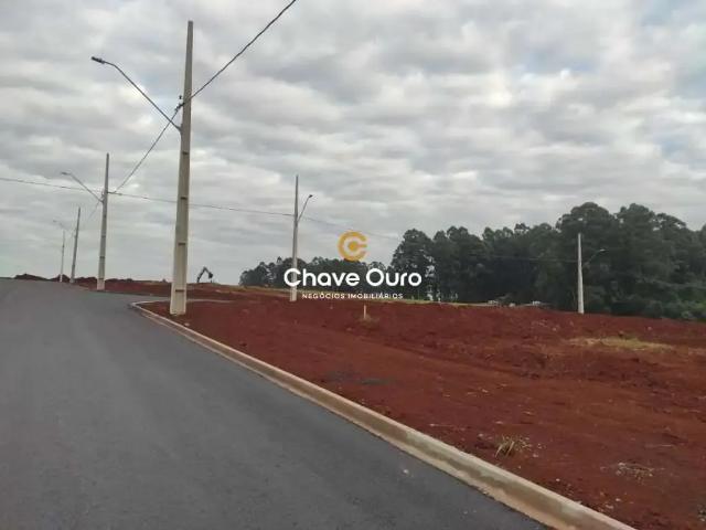 Terreno / Lote para Venda em Cascavel/PR Guarujá