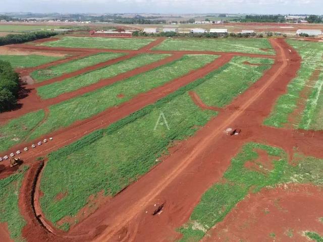 Terreno / Lote para Venda em Cascavel/PR Guarujá