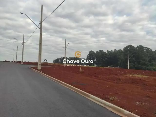 Terreno / Lote para Venda em Cascavel/PR Guarujá