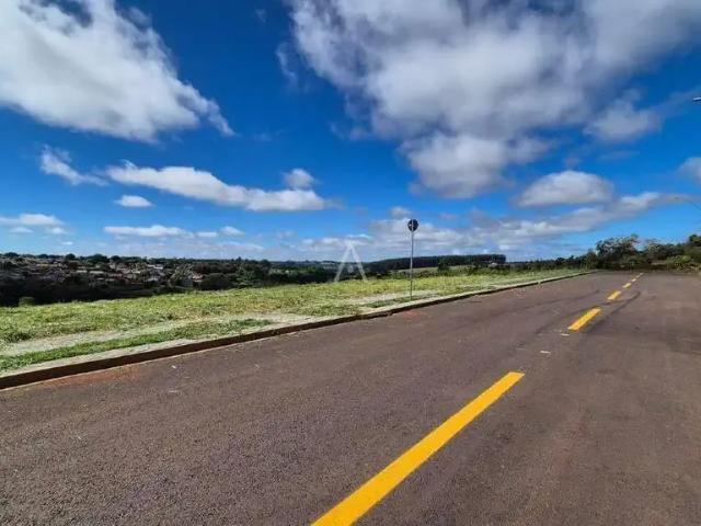 Terreno / Lote para Venda em Cascavel/PR Guarujá