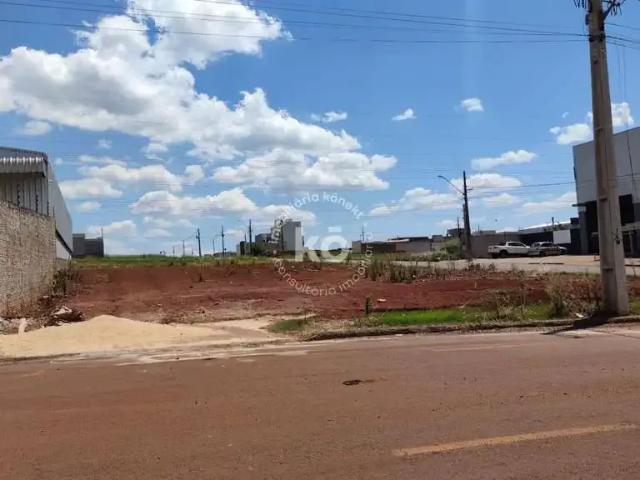 Terreno / Lote para Venda em Cascavel/PR Jardim Piovesan