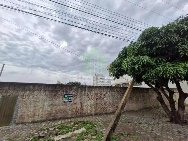 Terreno / Lote para Venda em Cascavel/PR Parque São Paulo