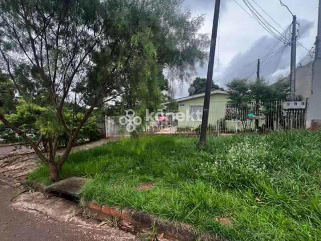 Terreno / Lote para Venda em Cascavel/PR Periolo