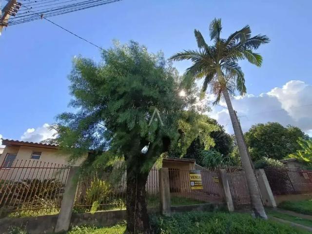 Terreno / Lote para Venda em Cascavel/PR Periolo