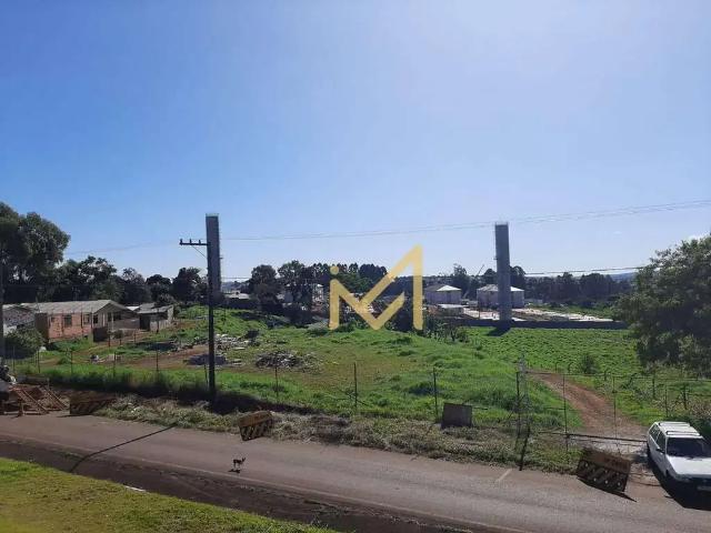 Terreno / Lote para Venda em Cascavel/PR Periolo