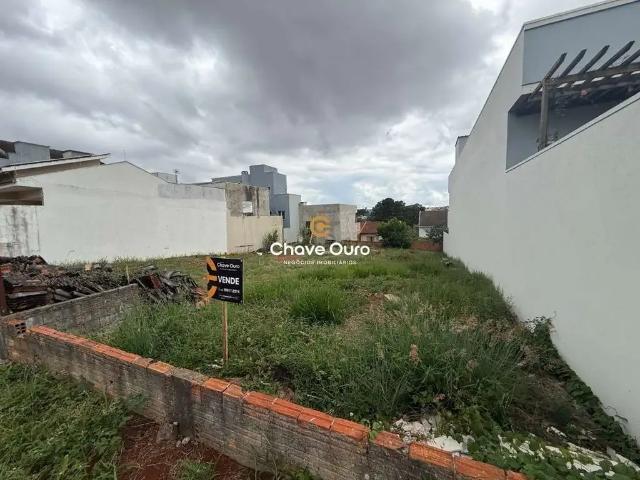 Terreno / Lote para Venda em Cascavel/PR Pioneiros Catarinenses