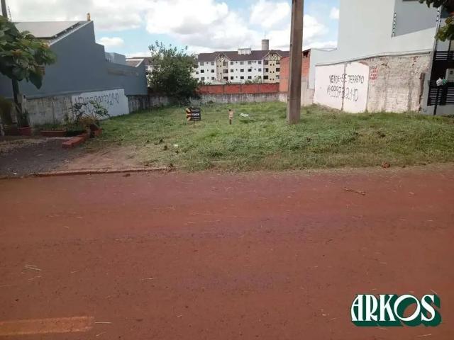 Terreno / Lote para Venda em Cascavel/PR Pioneiros Catarinenses