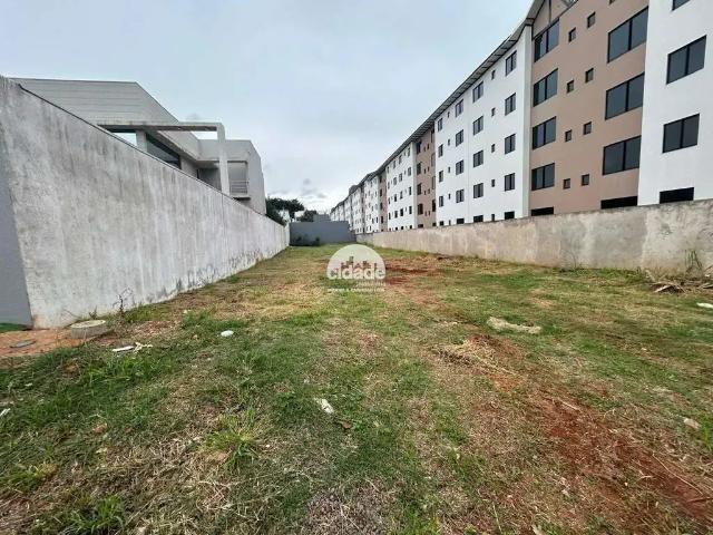 Terreno / Lote para Venda em Cascavel/PR Pioneiros Catarinenses