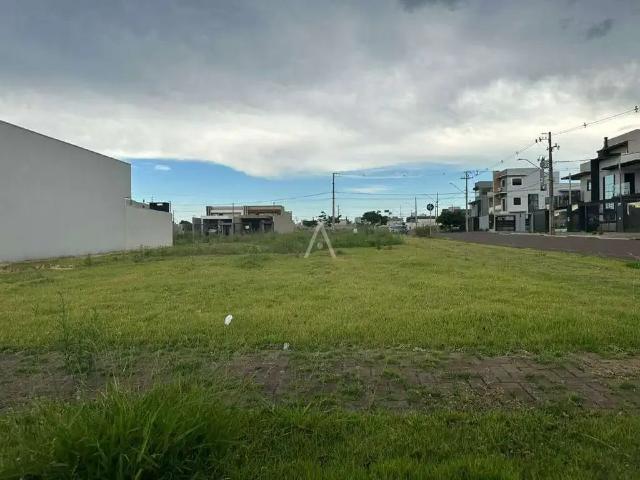 Terreno / Lote para Venda em Cascavel/PR Recanto Tropical