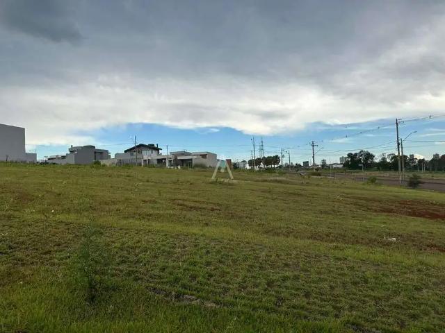 Terreno / Lote para Venda em Cascavel/PR Recanto Tropical