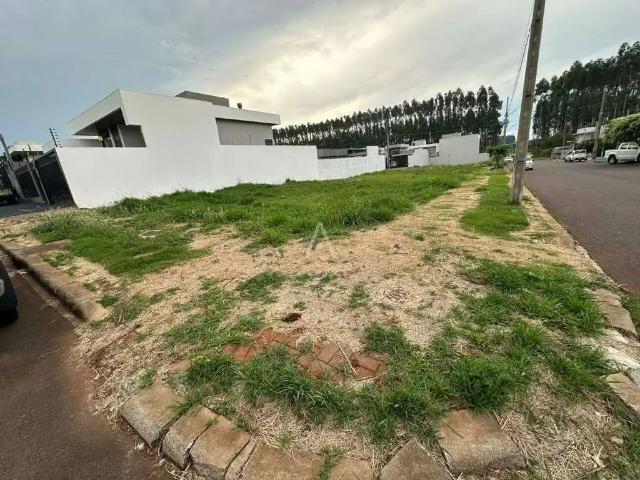 Terreno / Lote para Venda em Cascavel/PR Recanto Tropical