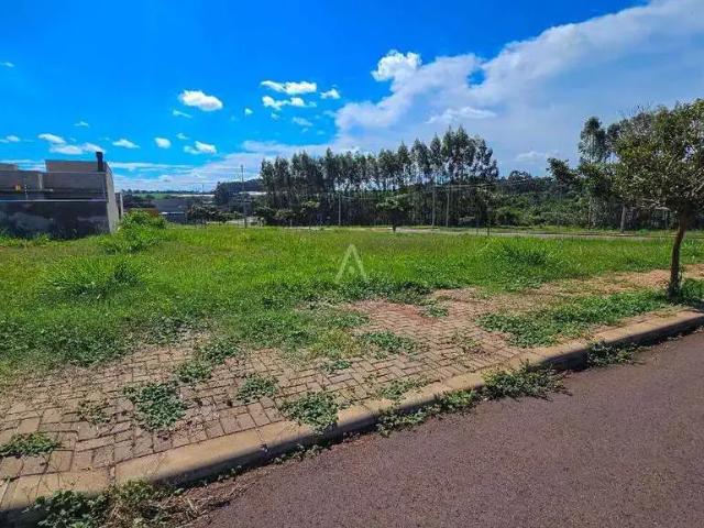 Terreno / Lote para Venda em Cascavel/PR Recanto Tropical