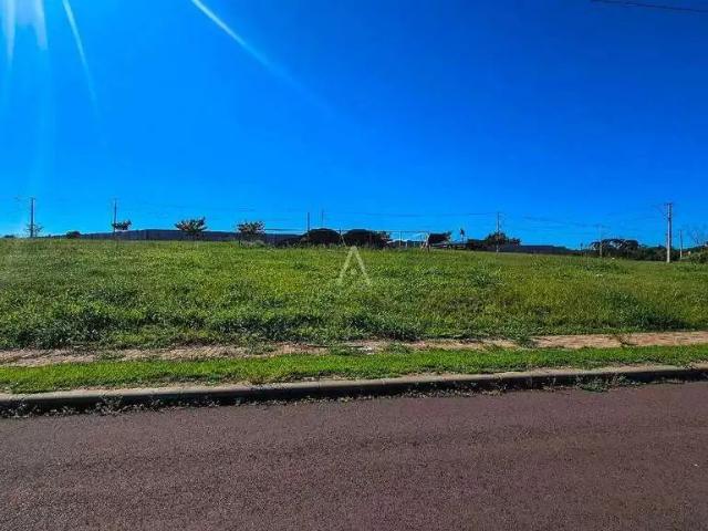 Terreno / Lote para Venda em Cascavel/PR Recanto Tropical